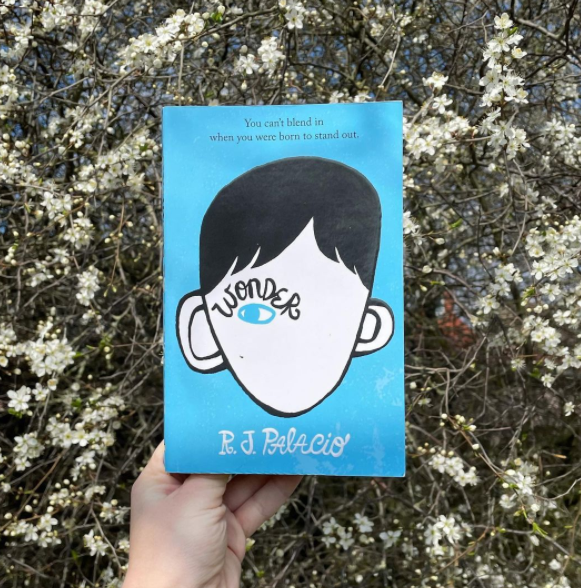 La historia de Wonder nos enseñó esto – Kel Ediciones